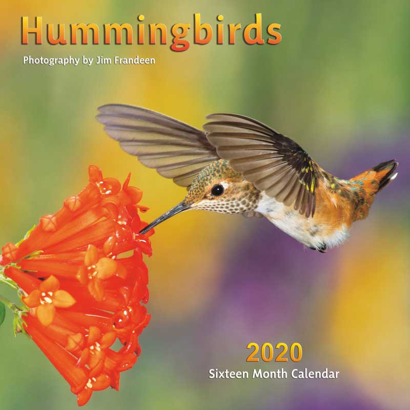 Calendar Hummingbirds 2020